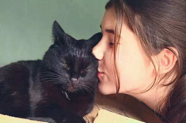 6 razóns súper serias polas que os gatos negros son fantásticos 22241_1