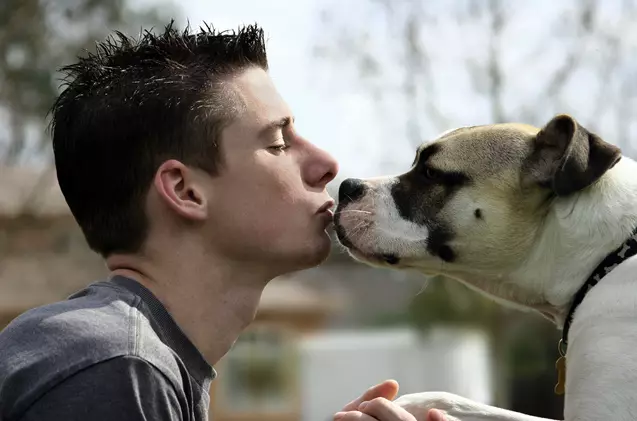 Therapiehunde können der Schlüssel zu weniger Stress und Einsamkeit an Hochschulen sein 2232_1