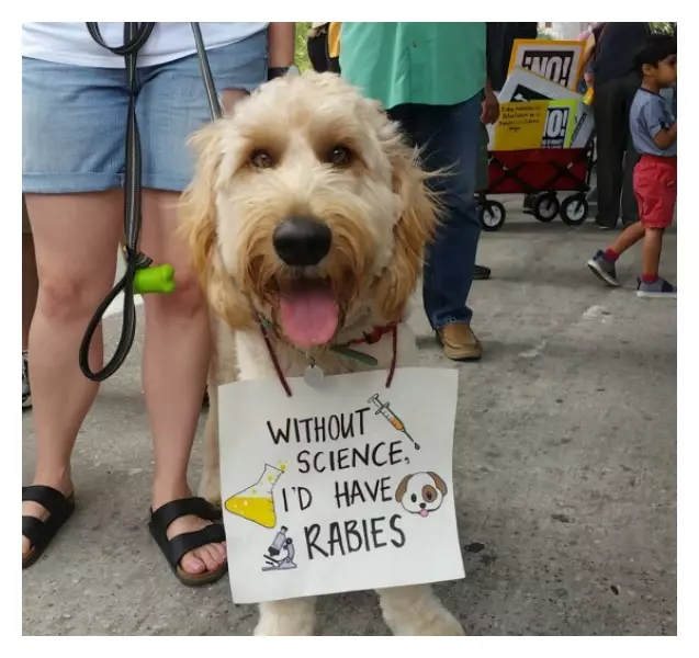 Mga Pups Nagsuporta sa Siyensya Sa Marso Para sa Science Rallies 22406_2