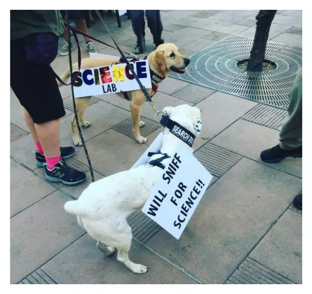 Pups steunen wetenschap tijdens maart voor wetenschapsbijeenkomsten 22406_3