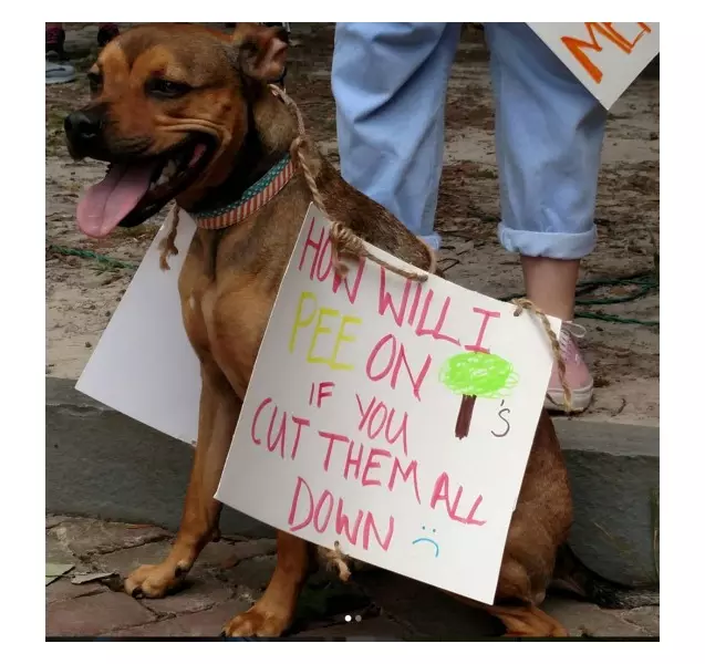 Pups steunen wetenschap tijdens maart voor wetenschapsbijeenkomsten 22406_4