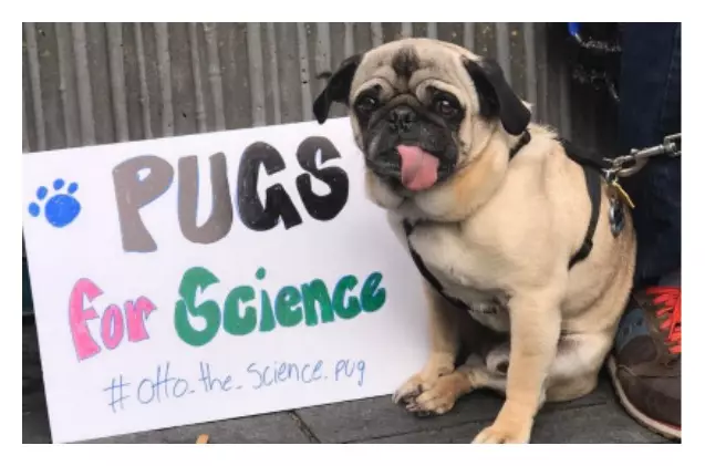 Los cachorros apoyan la ciencia en March for Science Rallies 22406_5