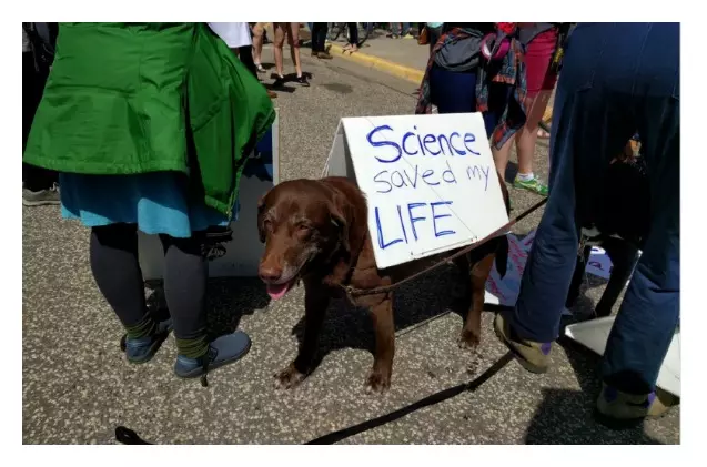 Los cachorros apoyan la ciencia en March for Science Rallies 22406_7