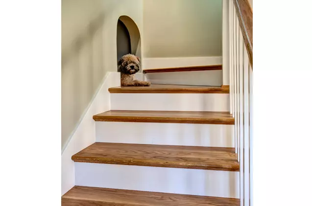 Dog-Friendly Home Renos: 'n Trap-suite om sy eie te noem.