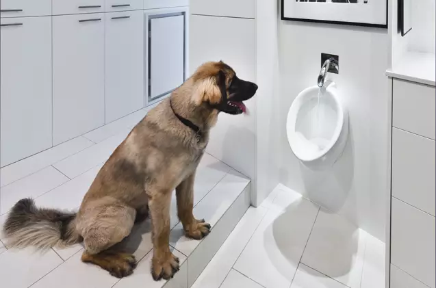 Renos hogareños dog-friendly: un urinario se convierte en un cuenco de agua dulce