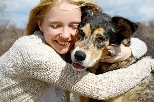 Hundar som adopterats från skyddet måste toppa vår lista över tillgivna hundraser.