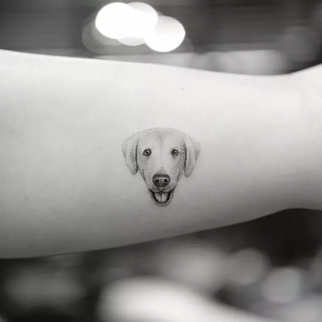 mr-k-dog-tattoo-၇