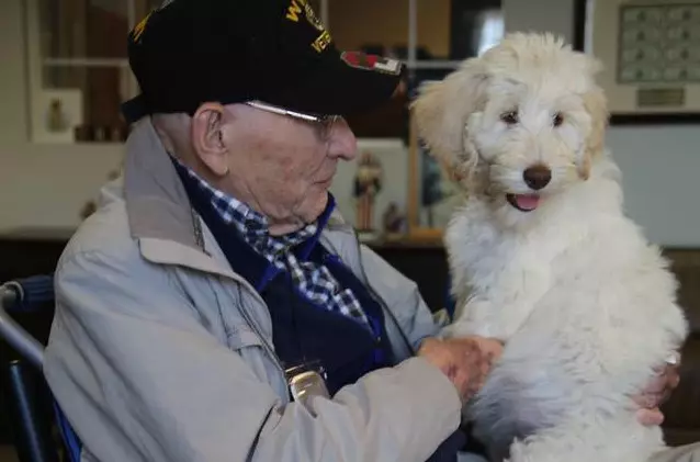 第二次世界大戦のベテランが100歳の誕生日にGoFundMeキャンペーンで愛国者PAWSのために戦う 23779_1