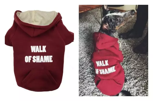 Eraman zure txakurra paseatzera bere walk of shame hoodie-n!