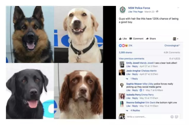 Top 10 redenen dy't jo moatte folgje NSW Police Force Facebook Page 23861_3