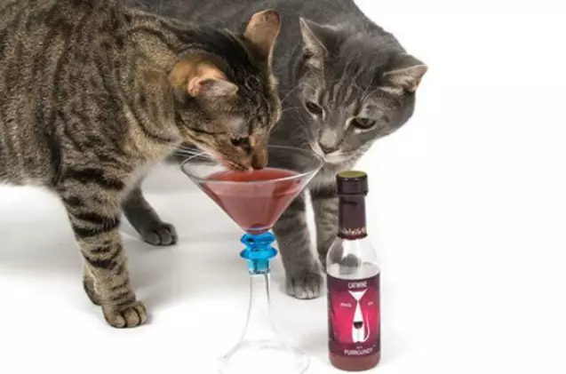 Котките полудяват за това вино от PetWinery