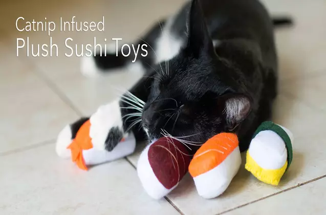 Помогнете на Kickstart FoodieKat's Catnip Infused Sushi Cat Toys 23972_1