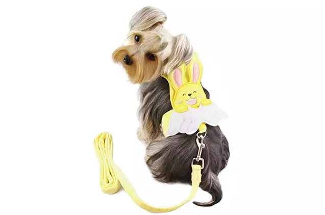 13 herrliche, von Ostern inspirierte Hunde-Essentials: Hunderucksack