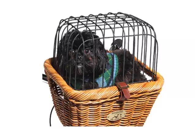 Ingobozi yeBhayisekile yezinja-Snazzy Jazzy Pet Rattan Pet Bike Basket 24444_1