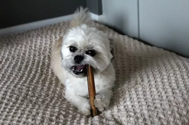 Bedste Bully Sticks 9