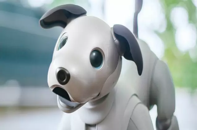 Sony's Robotic Dog Tau 4 Paws Up ntawm CES 2525_1