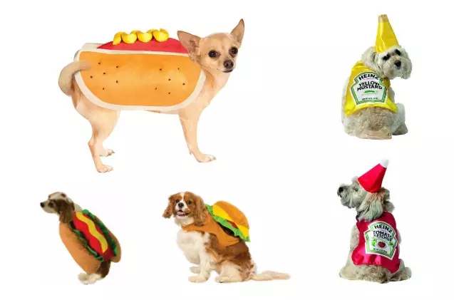 Top 10 Dogs Dress Up Like Hot Dogs 2541_1