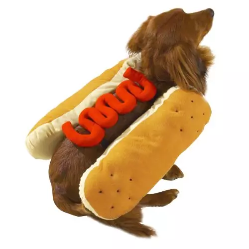 C'est la Journée nationale des hot-dogs, nous avons donc décidé d'habiller nos chiens comme notre nourriture de barbecue préférée.