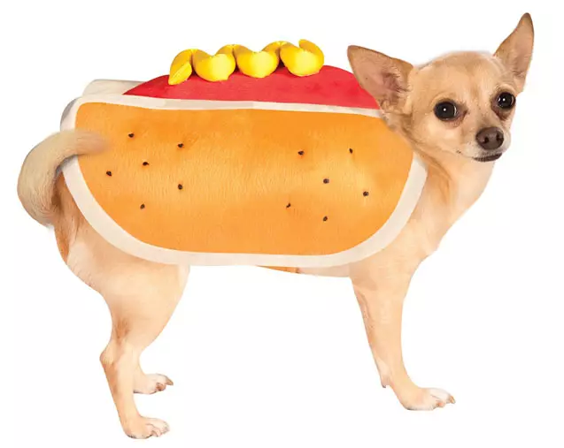 C'est la Journée nationale des hot-dogs, nous avons donc décidé d'habiller nos chiens comme notre nourriture de barbecue préférée.