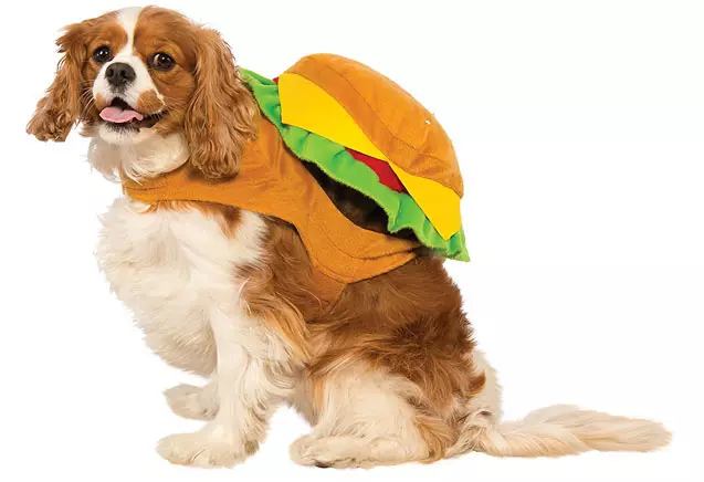 C'est la Journée nationale des hot-dogs, nous avons donc décidé d'habiller nos chiens comme notre nourriture de barbecue préférée.