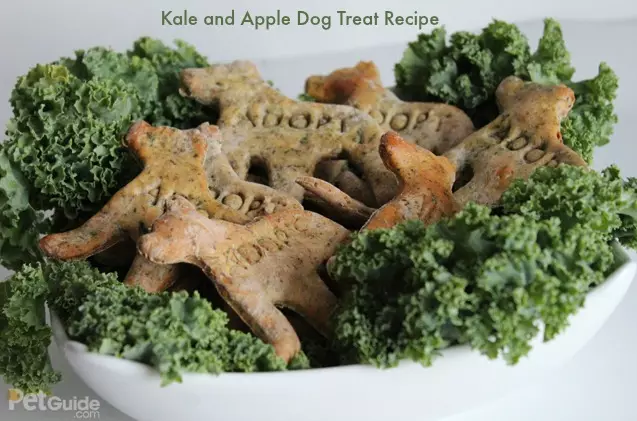 Rezept für Hundeleckerli mit Grünkohl und Apfel