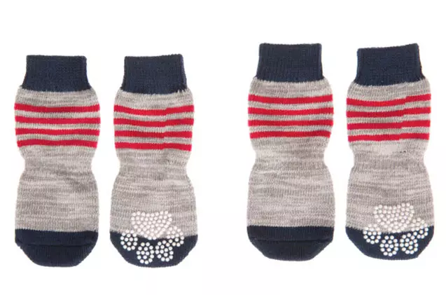 Chaussettes pour animaux de compagnie pour Tender Tootsies : Chaussettes rayées pour chien