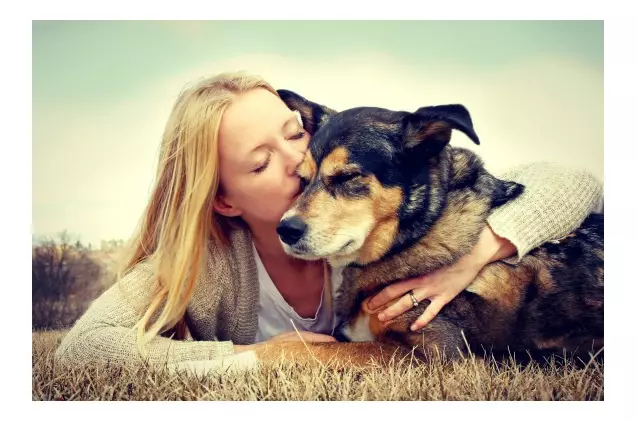 De magie is echt: waarom de wetenschap zegt dat jij en je hond zoveel van elkaar houden 26229_1