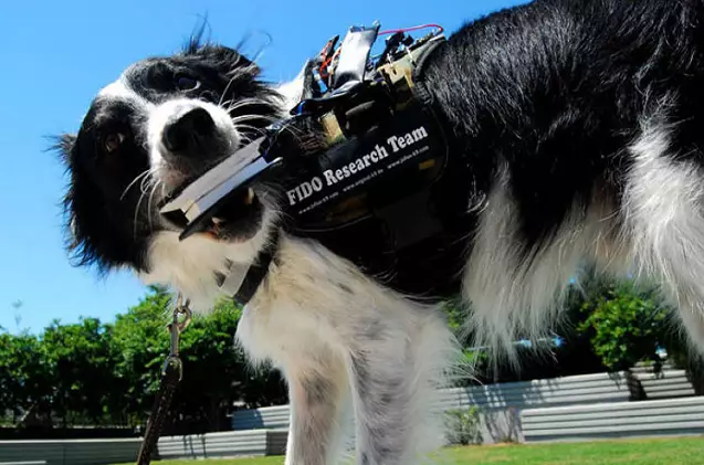 Le nouveau gilet technologique donne une voix aux chiens d'assistance 26504_1