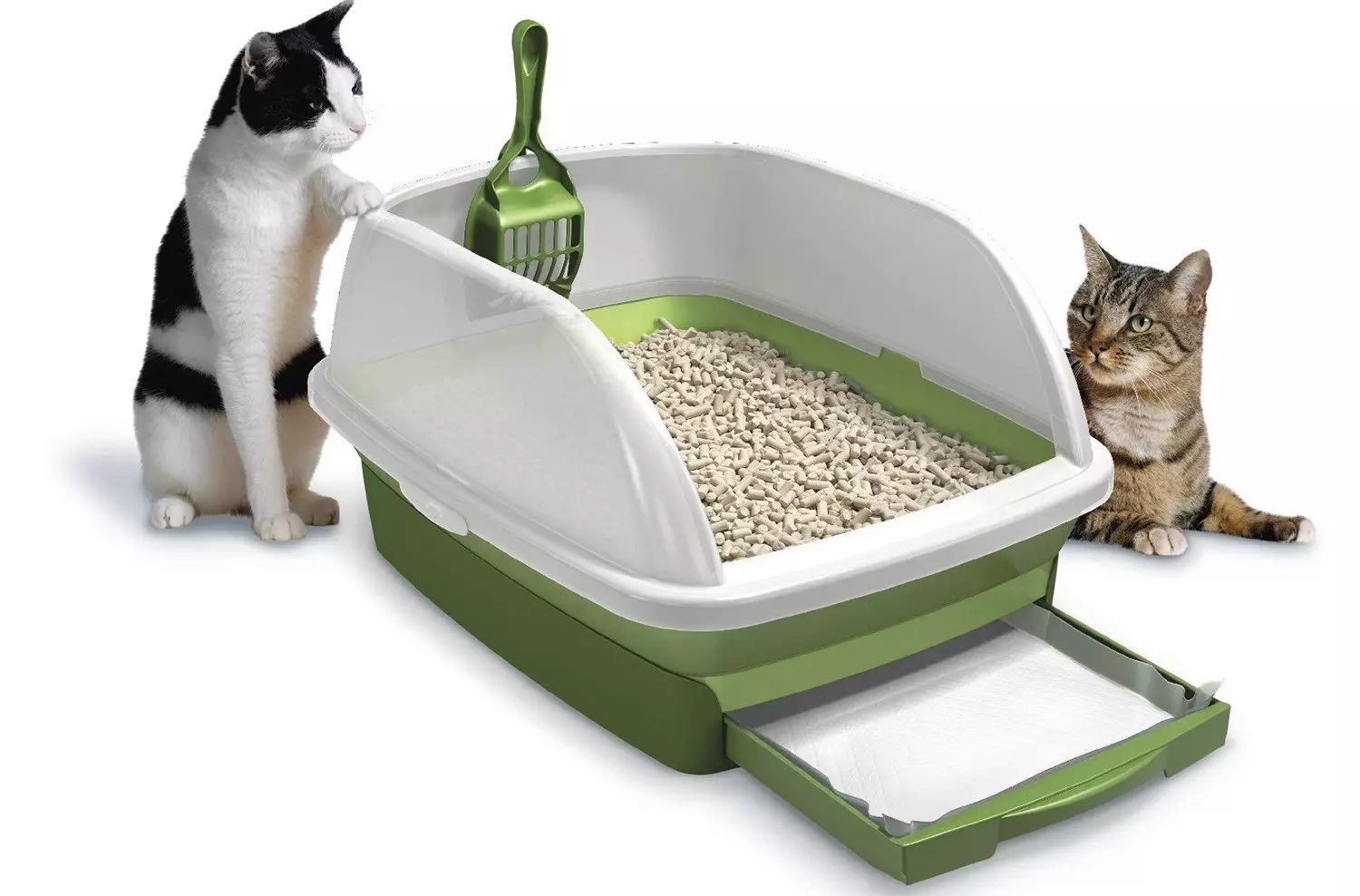 Top 10 cele mai bune cutii de gunoi pentru pisici: Sistemul de cutii de gunoi pentru pisici Tidy Cats Breeze