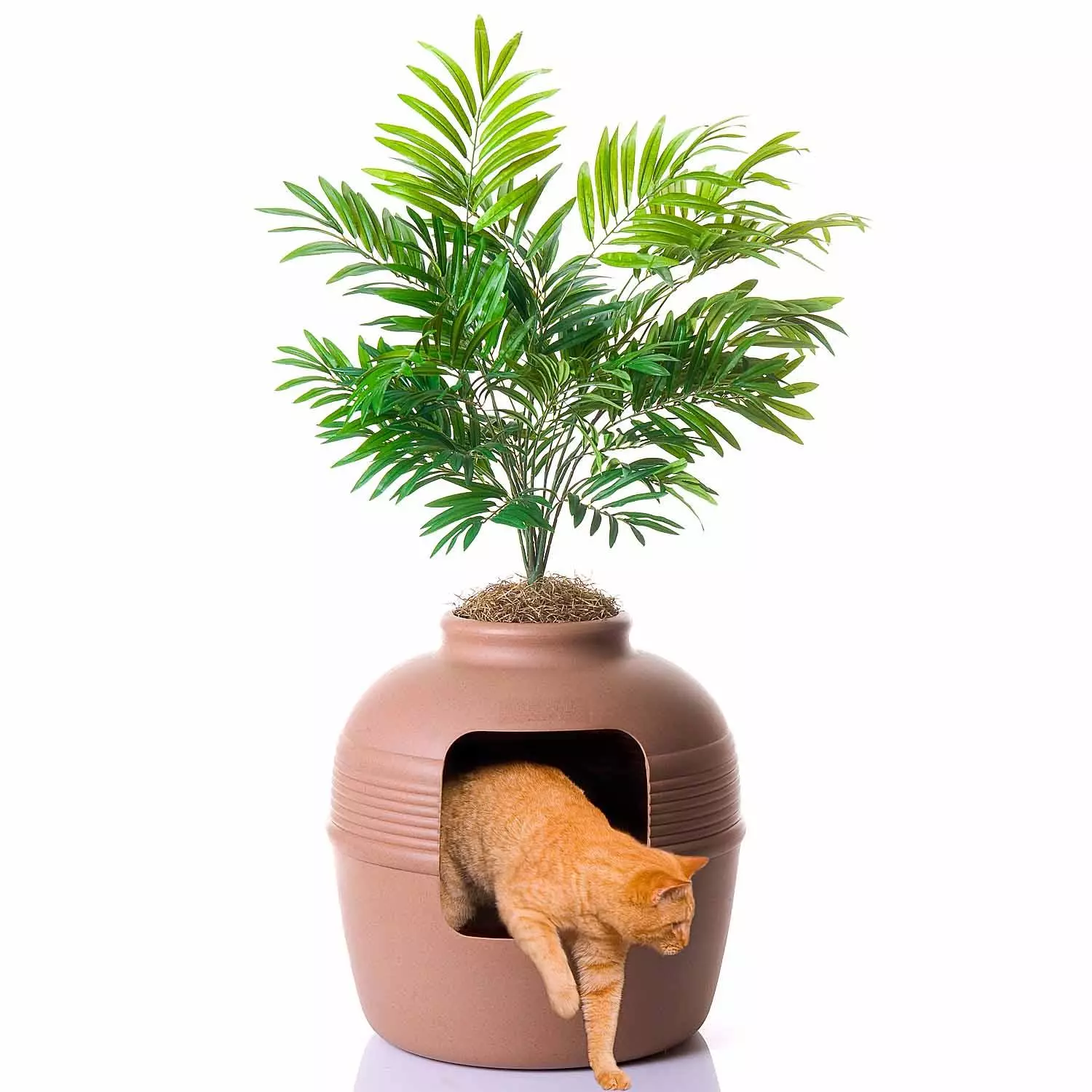 Top 10 beste kattenbakken: Good Pet Stuff Hidden Cat Litter Planter