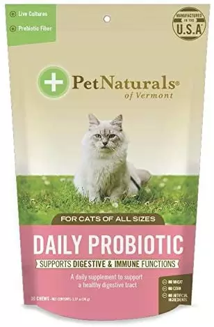 Probiotics pangalusna pikeun Ucing 26597_12