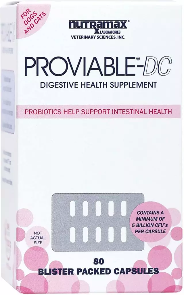 Probiotics pangalusna pikeun Ucing 26597_14