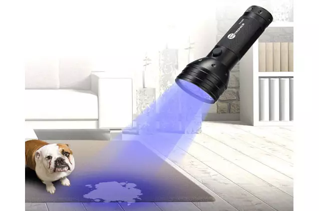 TaoTronics UV Blacklight yanju ọran ti Puddle Dog Invisible 26636_1