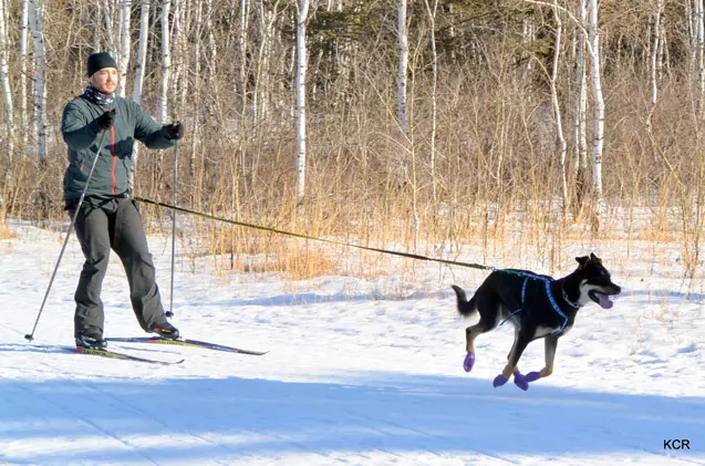 Carane Pick Ski Tengen kanggo Skijoring 266_1