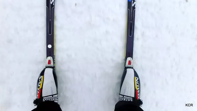 Yadda ake Zaɓi Skis Dama don Skijoring 266_4