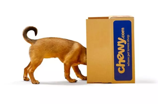 موږ د Chewy.com سره ملګرتیا کړې - دلته ولې 26738_1