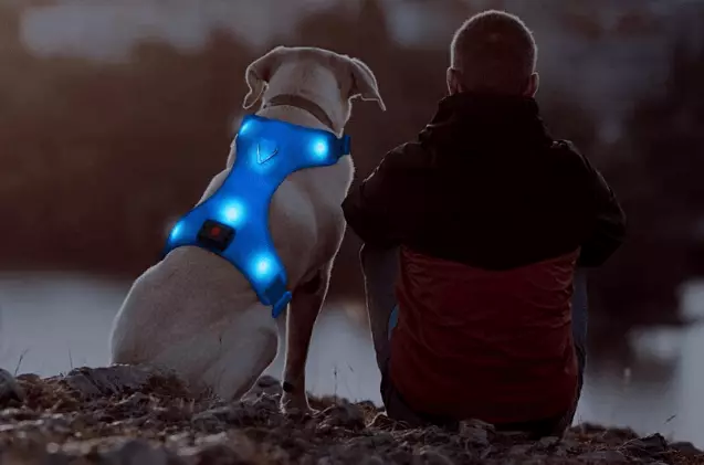 Los mejores arneses LED para perros 26899_1