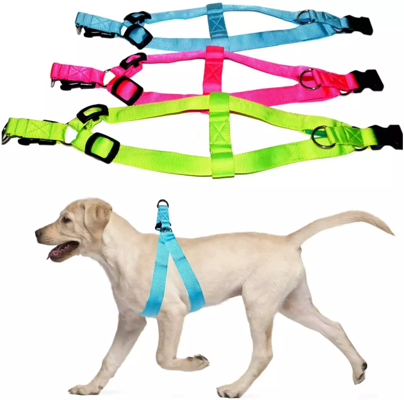 LED Dog Harnesses tsara indrindra 26899_10