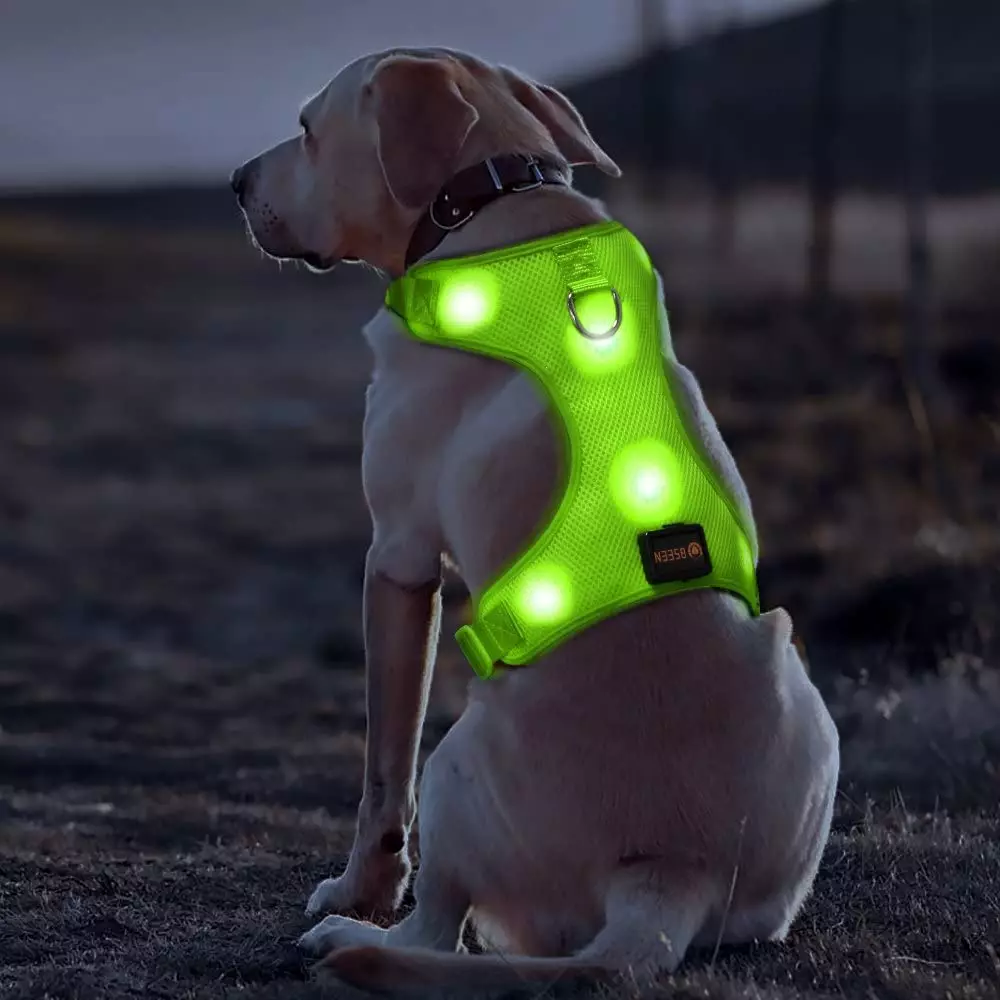 LED Dog Harnesses tsara indrindra 26899_3