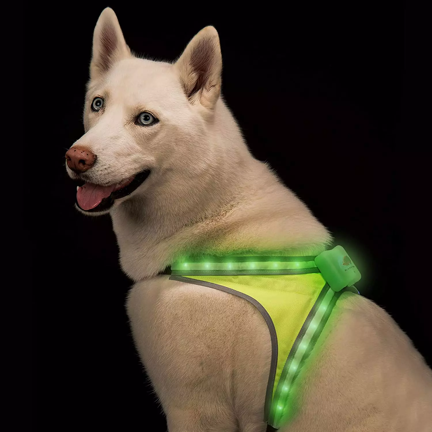 LED Dog Harnesses tsara indrindra 26899_4