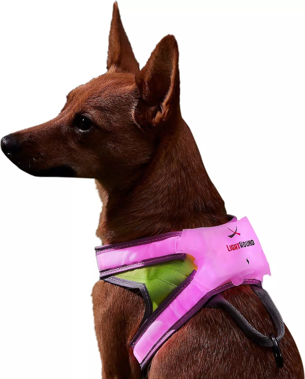 LED Dog Harnesses tsara indrindra 26899_6