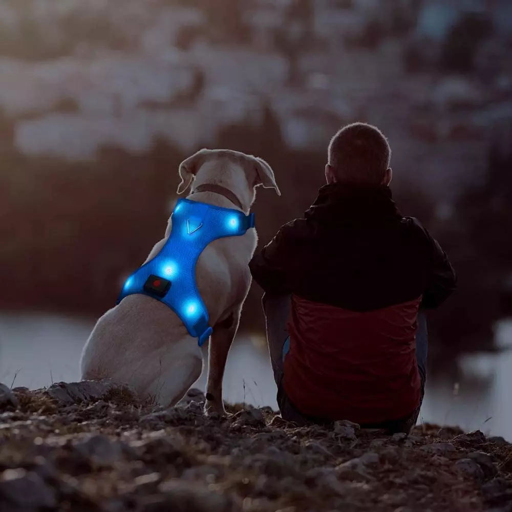 LED Dog Harnesses tsara indrindra 26899_8