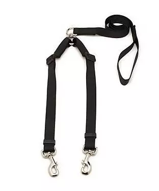 Leashes bora za mbwa: Aspen pet