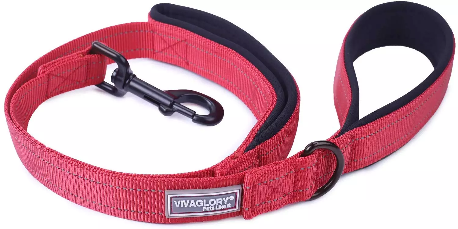 Mafi kyawun Leashes Dog: Vivaglory