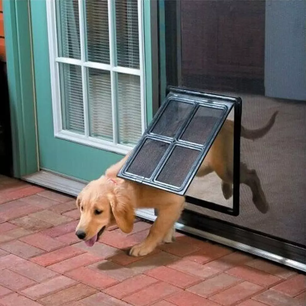 Najbolji Dog Door 26949_8