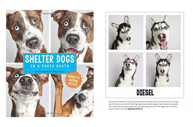 Shelter Dogs in a Photo Booth garanterer store smil 27209_1