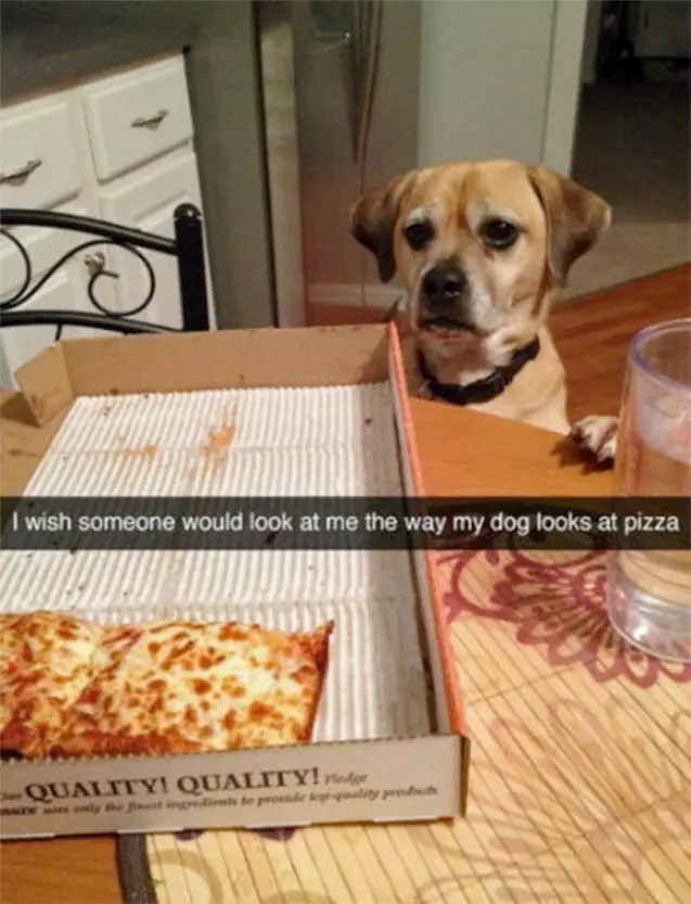 11SNAPCHATDOGANDPizza