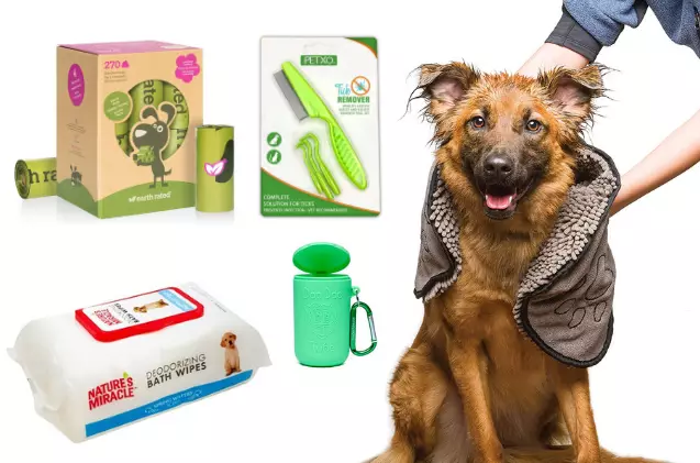 Dog Travel Essentials: អ្វីដែលត្រូវវេចខ្ចប់សម្រាប់ឆ្កែរបស់អ្នក។ 277_3