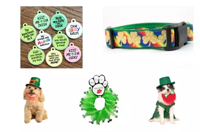 Sab saum toj 10 Grand St. Patrick's Day Gifts For Irish Setters (...Los Yog Ib Tus dev) 28448_1