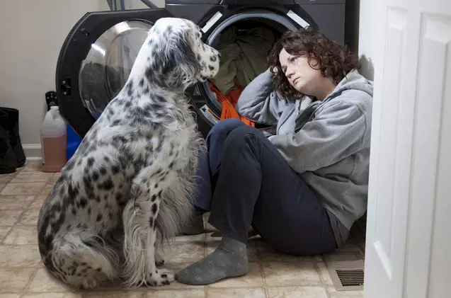 Como os cães podem ajudar a prevenir o suicídio 2881_1